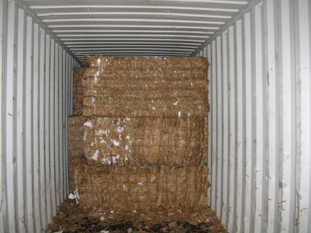 Netique Info Tech (P) Ltd